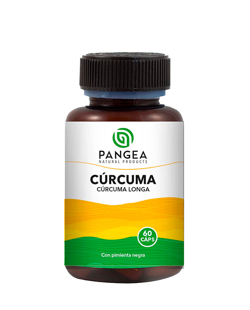 Cúrcuma capsulas frasco Pangea – Healing Foods Co